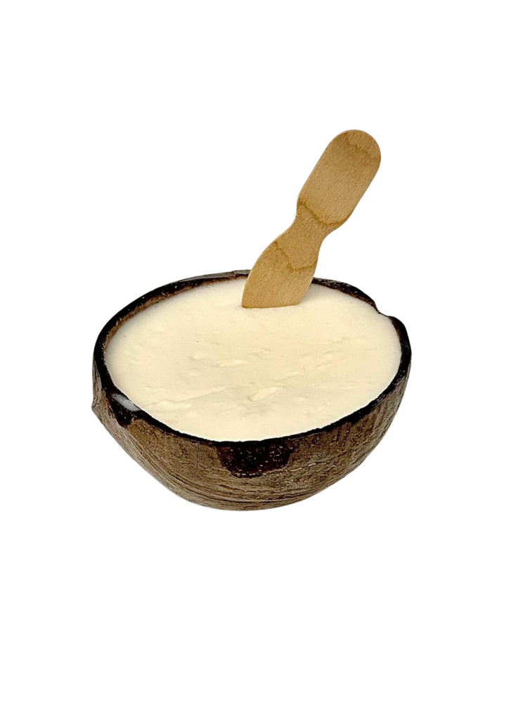 Cocolato by Gelatero Coconut Shell Gelato Box 12 units – Bosco Factory